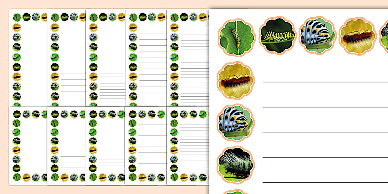Caterpillar Photo Page Borders - Minibeasts (teacher made)