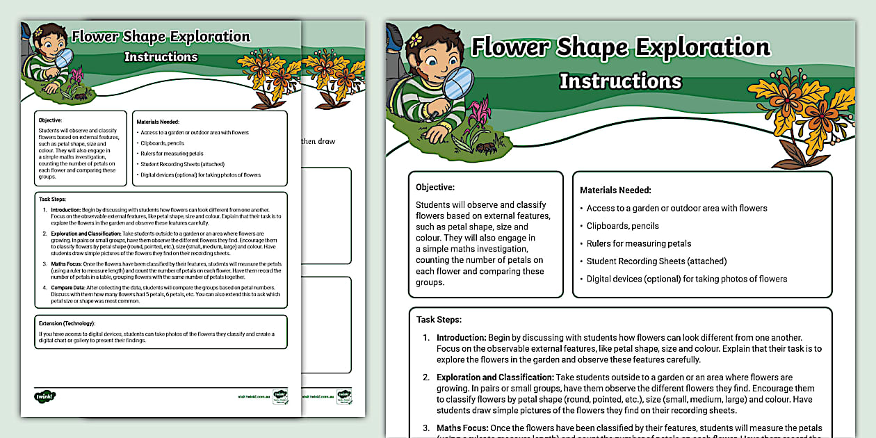 STEM Outdoors: Flower Shape Exploration