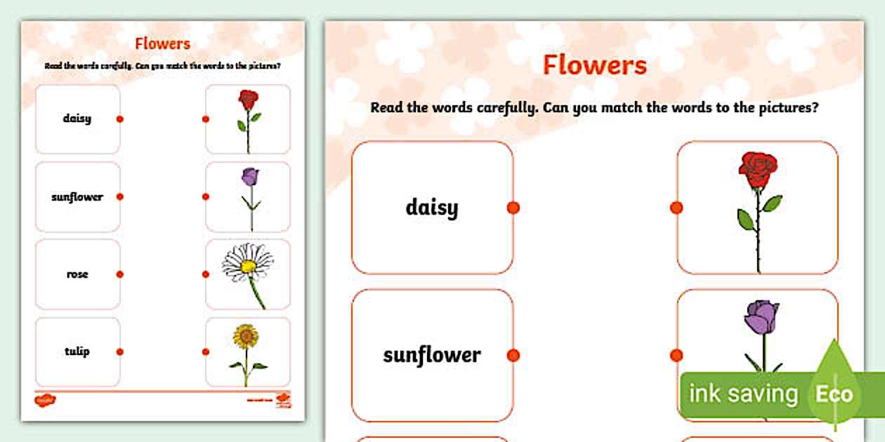 Flower Names Matching Worksheet (teacher made) - Twinkl