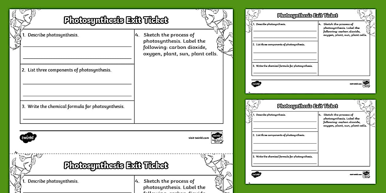 Photosynthesis Exit Ticket for 6th-8th Grade