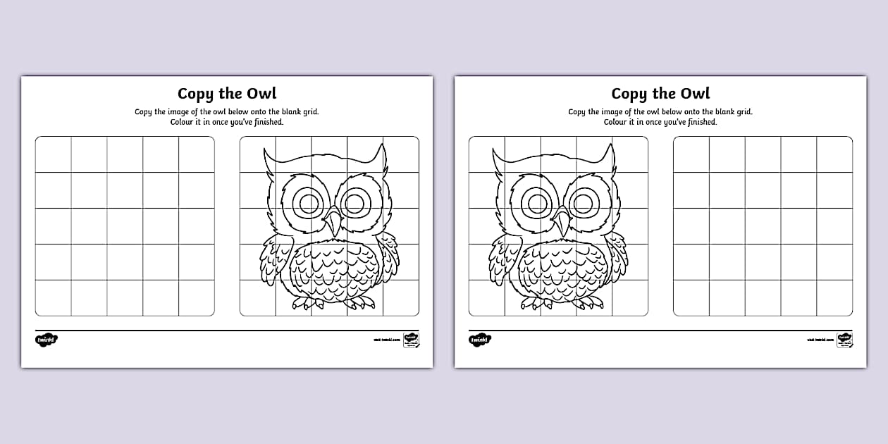 Copy the Owl Worksheet (teacher made) - Twinkl