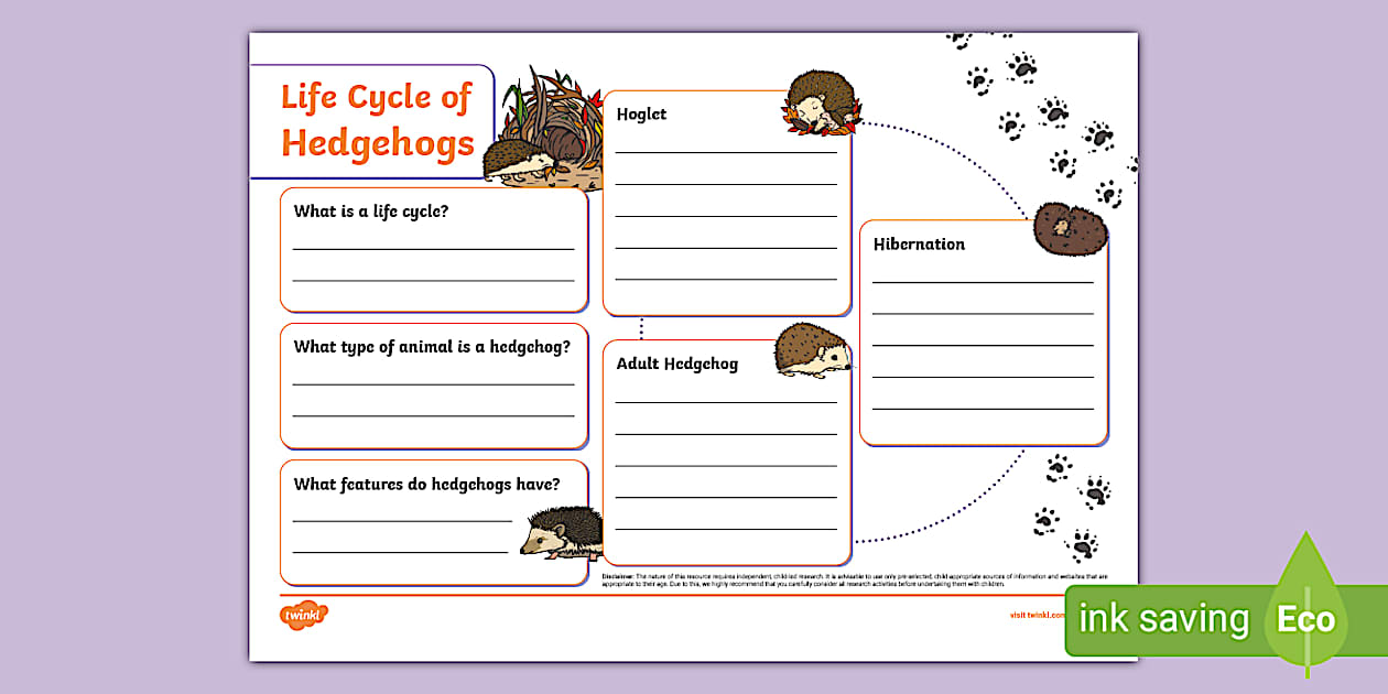 Life Cycle of Hedgehogs Fact File Template (teacher made)