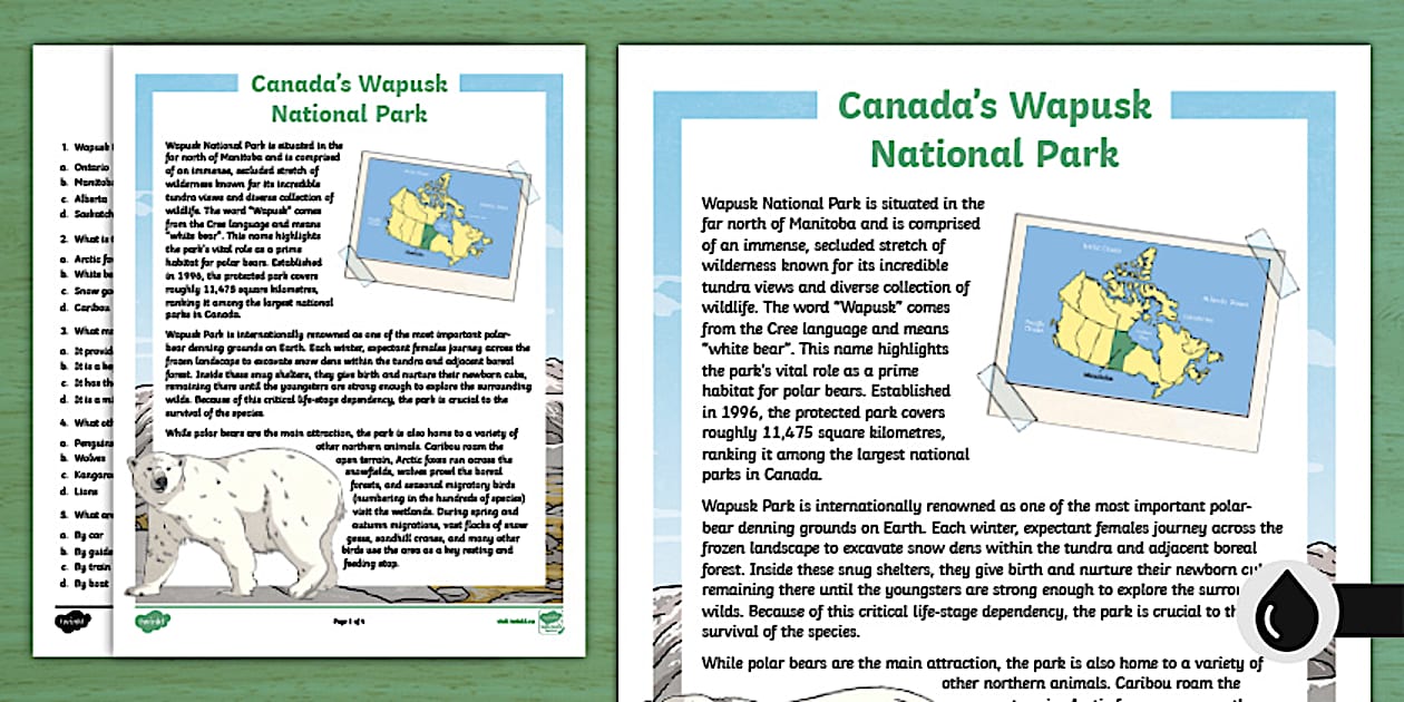 Canada's Wapusk National Park Reading Comprehension