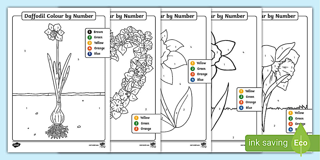 Daffodil Colour by Number Pages (teacher made) - Twinkl