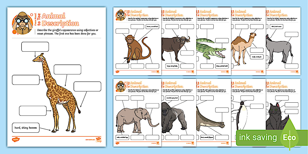 KS1 From Head to Toe Animal Description Worksheets - Twinkl