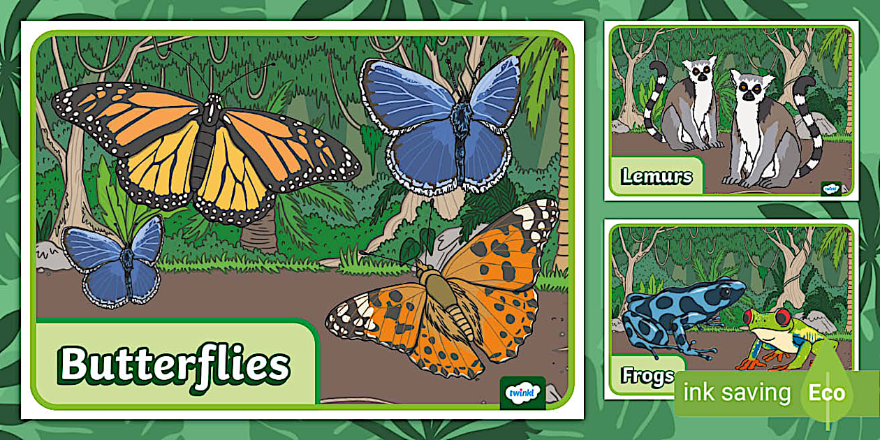 Editable Group Names (Jungle & Rainforest) (teacher made)