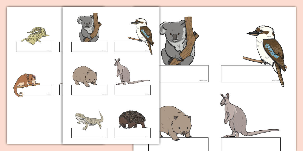Editable Self-Registration Labels (Australian Animals)