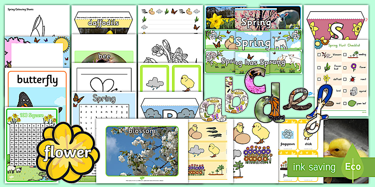 Spring Display Pack (teacher made) - Twinkl