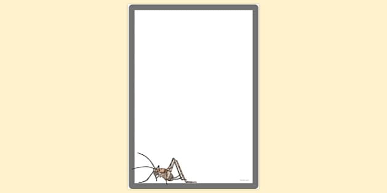 Simple Blank Cave Cricket Page Border | Twinkl - Twinkl