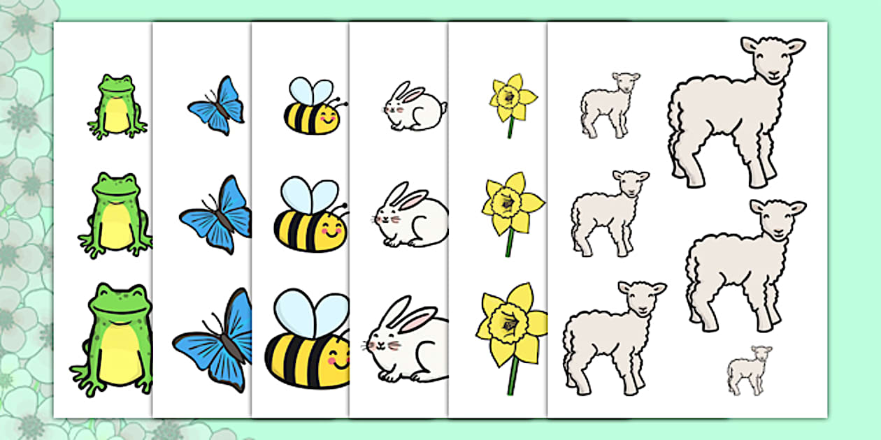 Springtime Themed Size Ordering (teacher made) - Twinkl