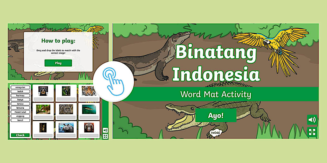 Indonesian Animals Interactive Labelling Activity - Twinkl