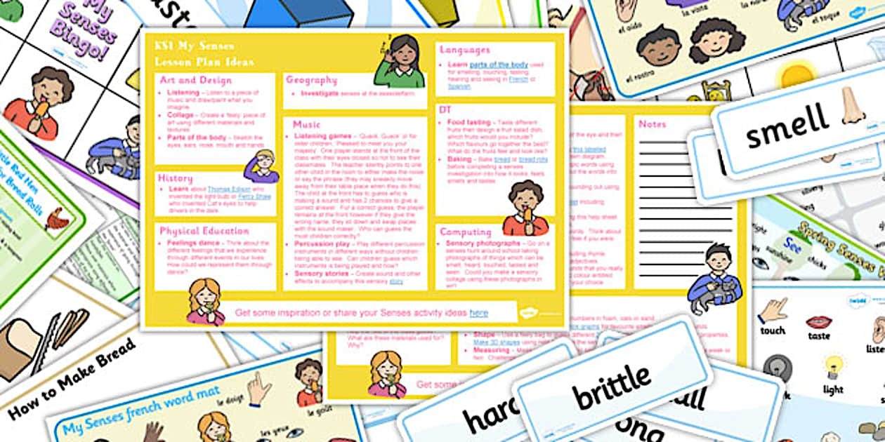 My Senses KS1 Lesson Plan Ideas and Resource Pack - Twinkl