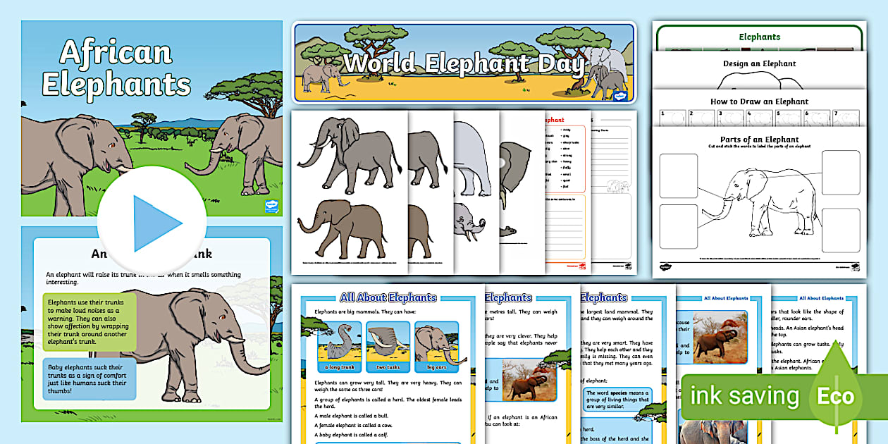 World Elephant Day Activity Pack - KS1 - Twinkl