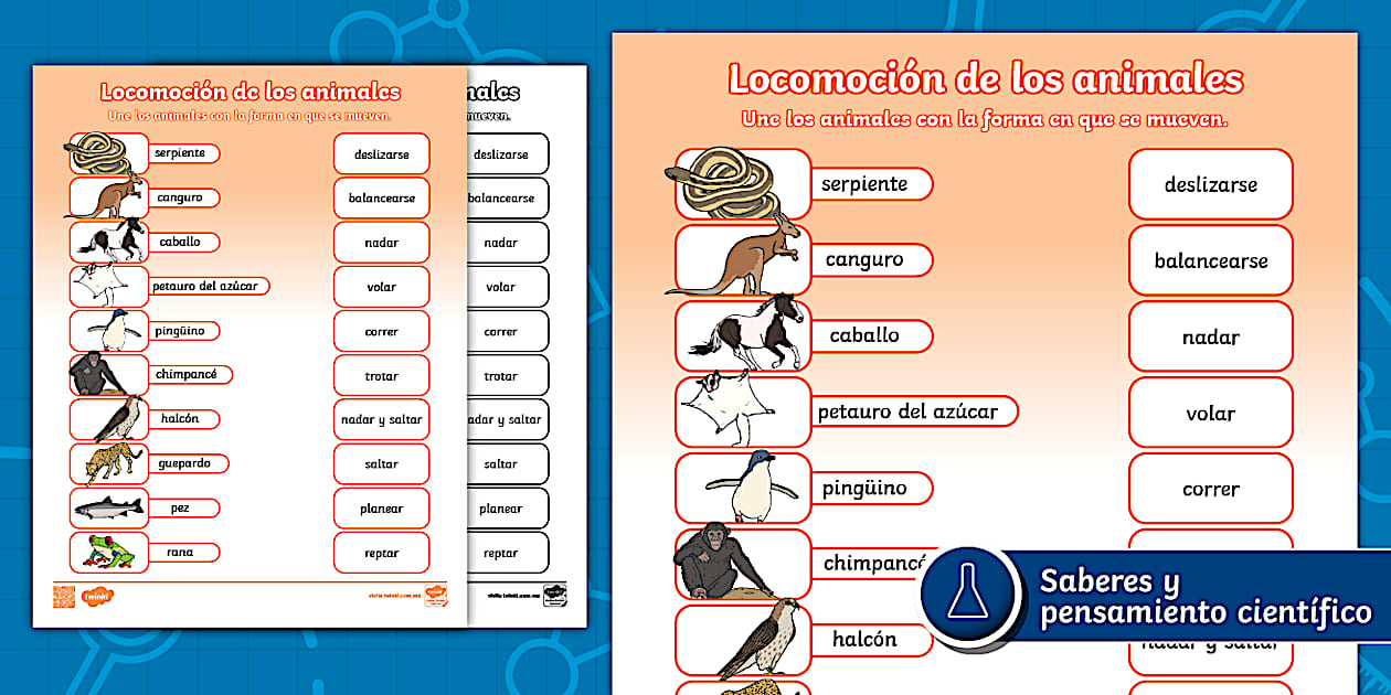 Locomoción de los animales