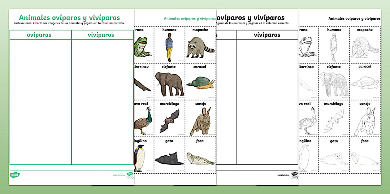 Ficha de clasificar: Animales ovíparos y vivíparos