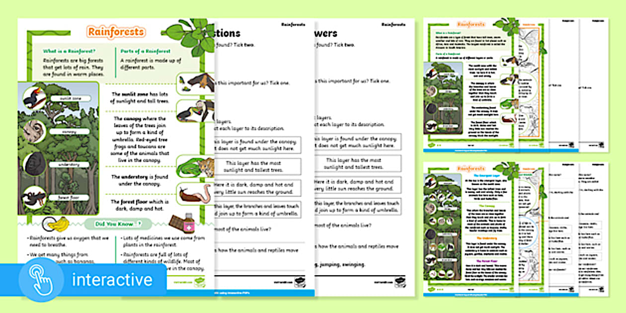 Interactive Rainforests Reading Comprehension PDF - Twinkl