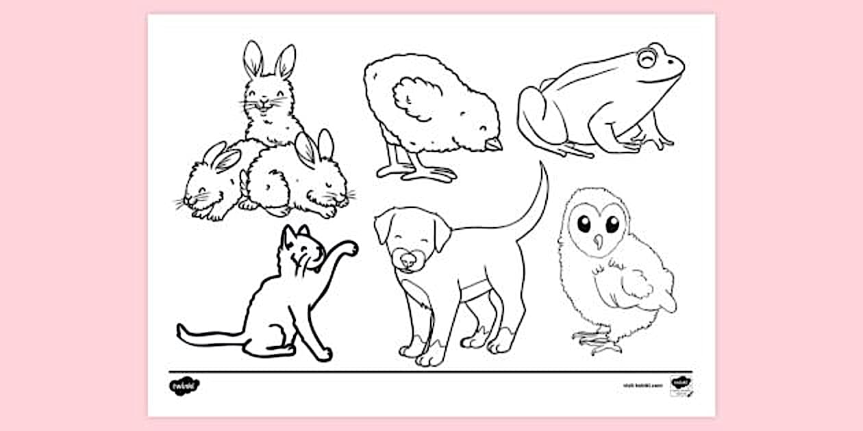 Preschool Animal Colouring Page | Colouring Sheets - Twinkl
