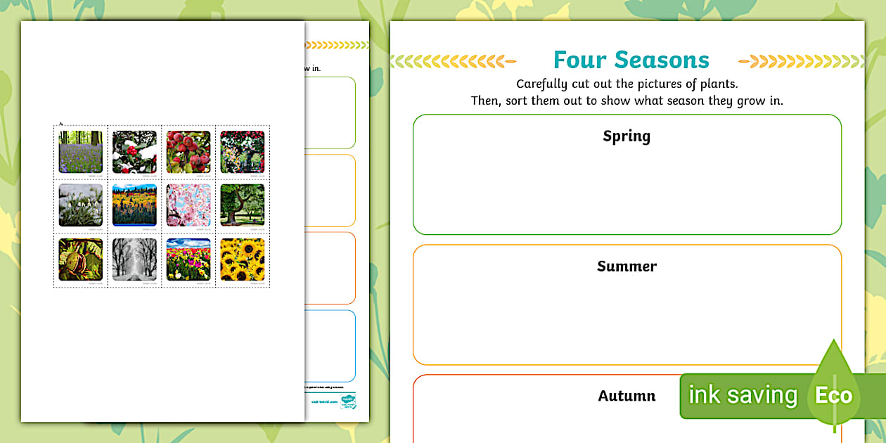 Four Seasons Plants Sorting Activity - Twinkl