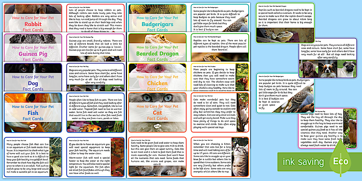 Facts About Classroom Pets - Caring For Pets Cards - Twinkl