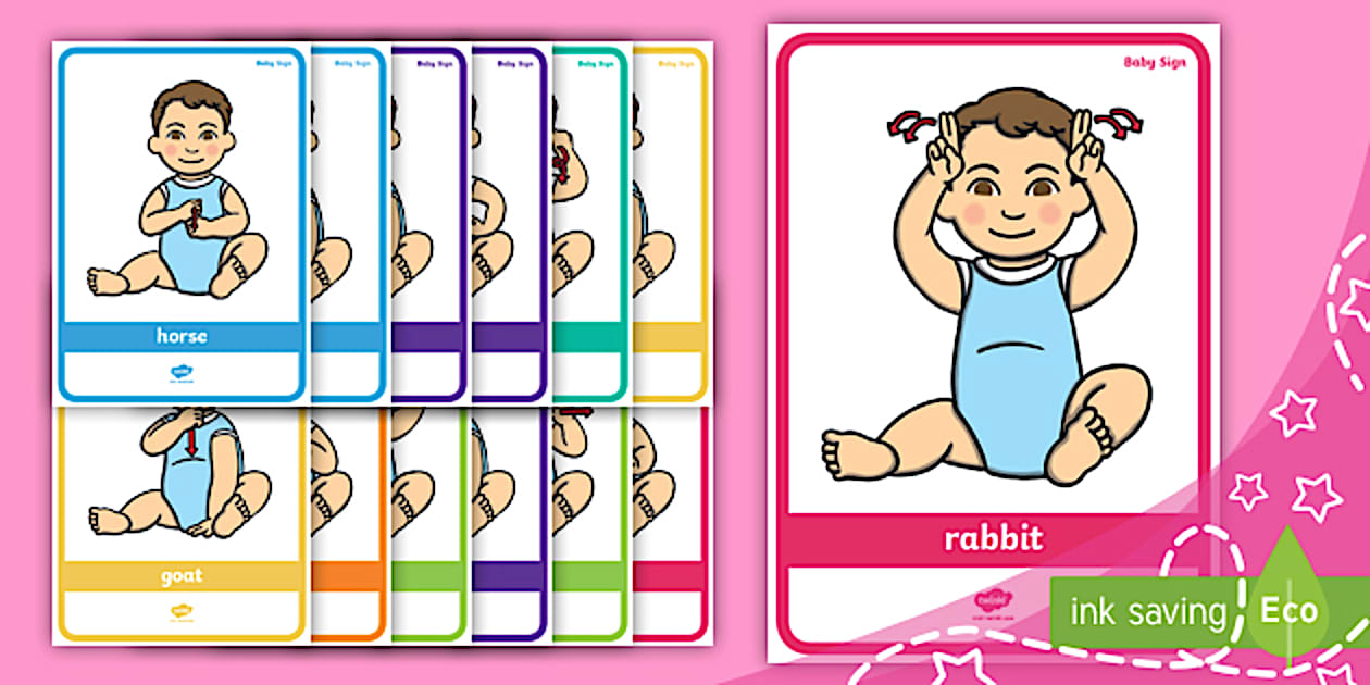 Animals Baby Sign Language - Poster Pack (teacher made)