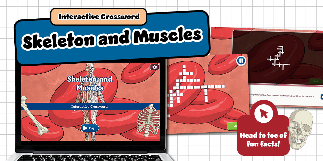Skeleton and Muscles Interactive Crossword