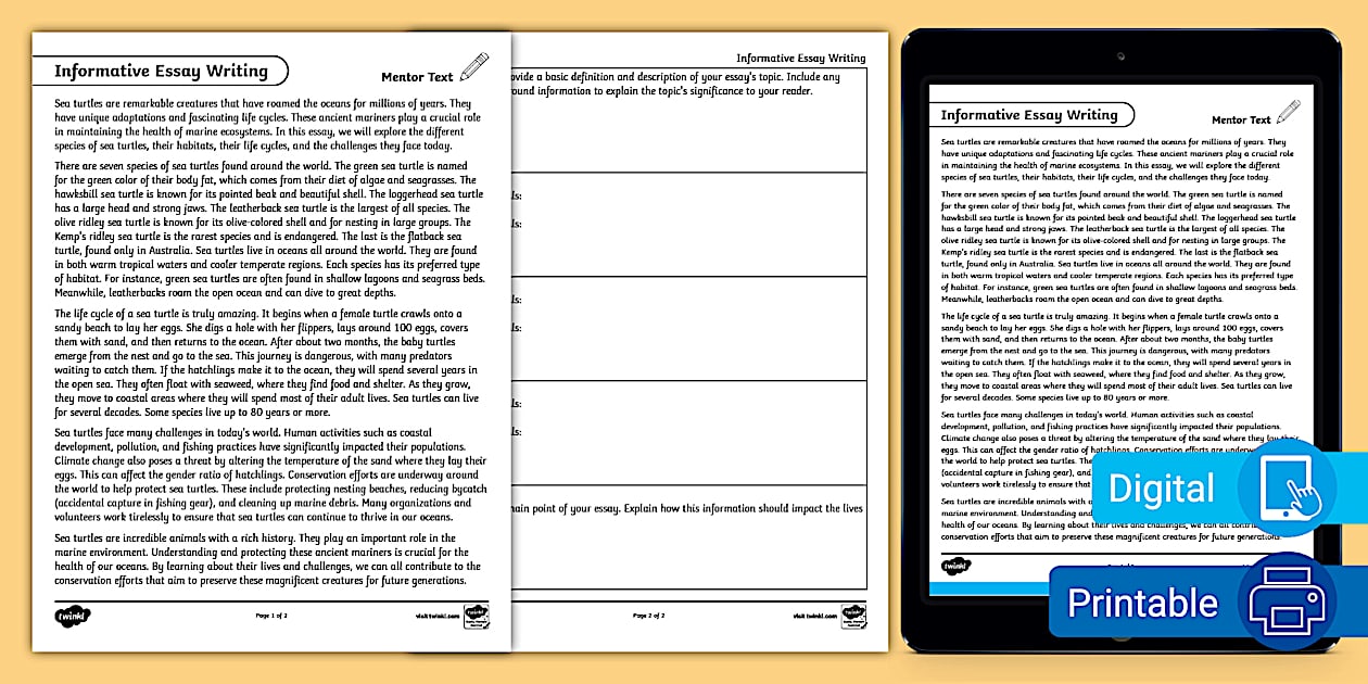 Informative Research Essay Template | Resource | Twinkl USA