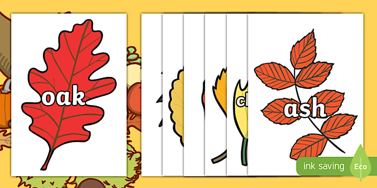 Editable Autumn Leaves with Names Display Cut-Outs - Twinkl