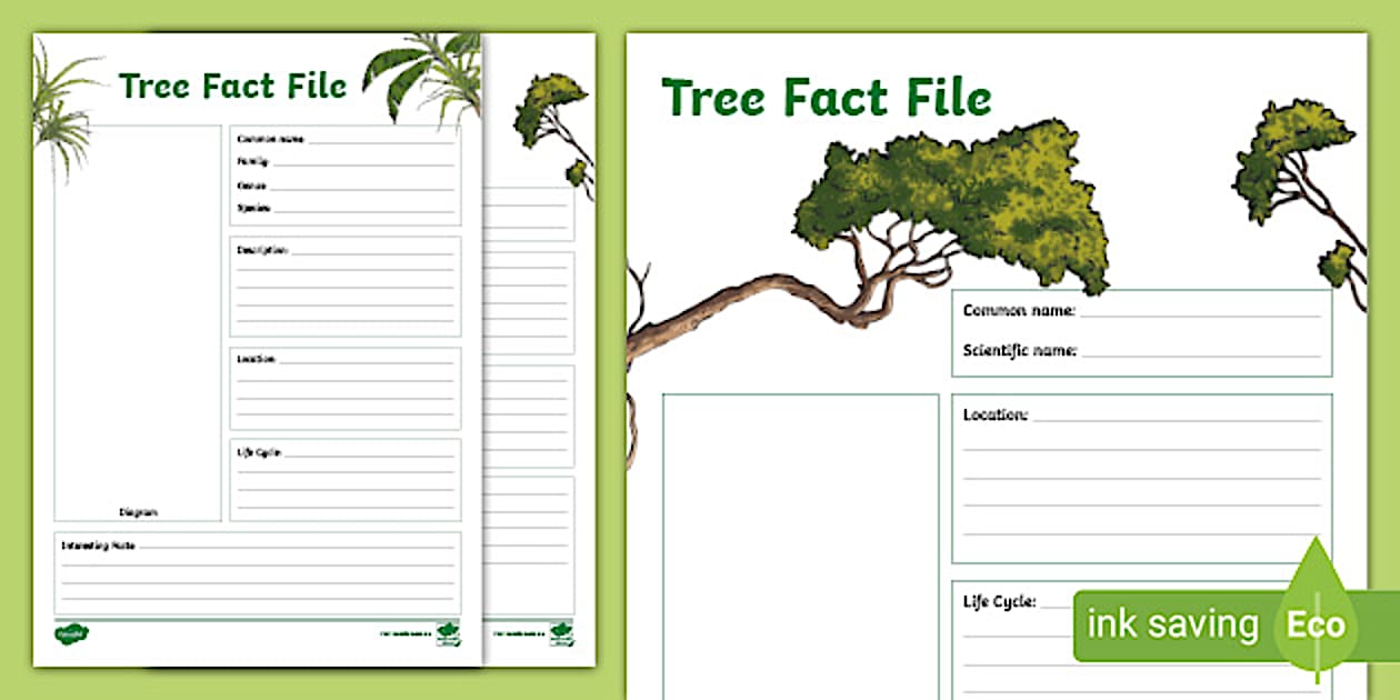 Blank Tree Fact File (l'enseignant a fait) - Twinkl