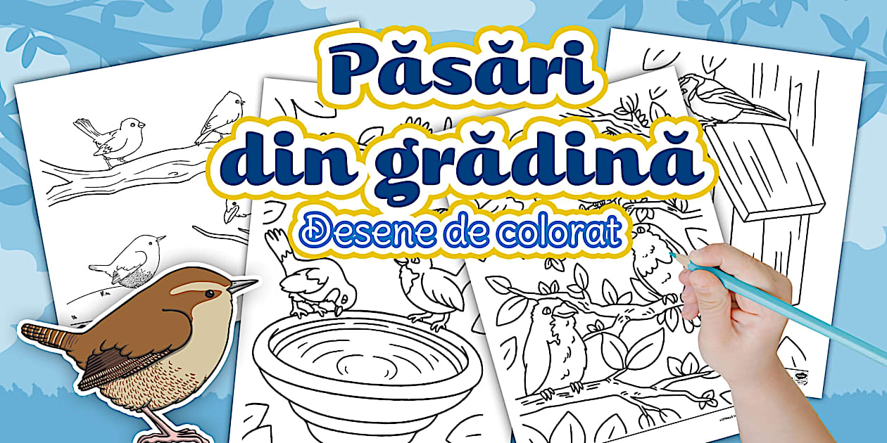 Păsări din grădină – Desene de colorat