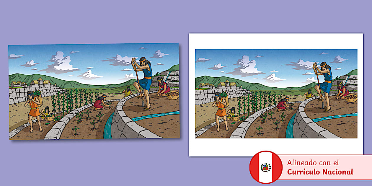 Dibujos de los andenes incas | Recursos Educativos Twinkl