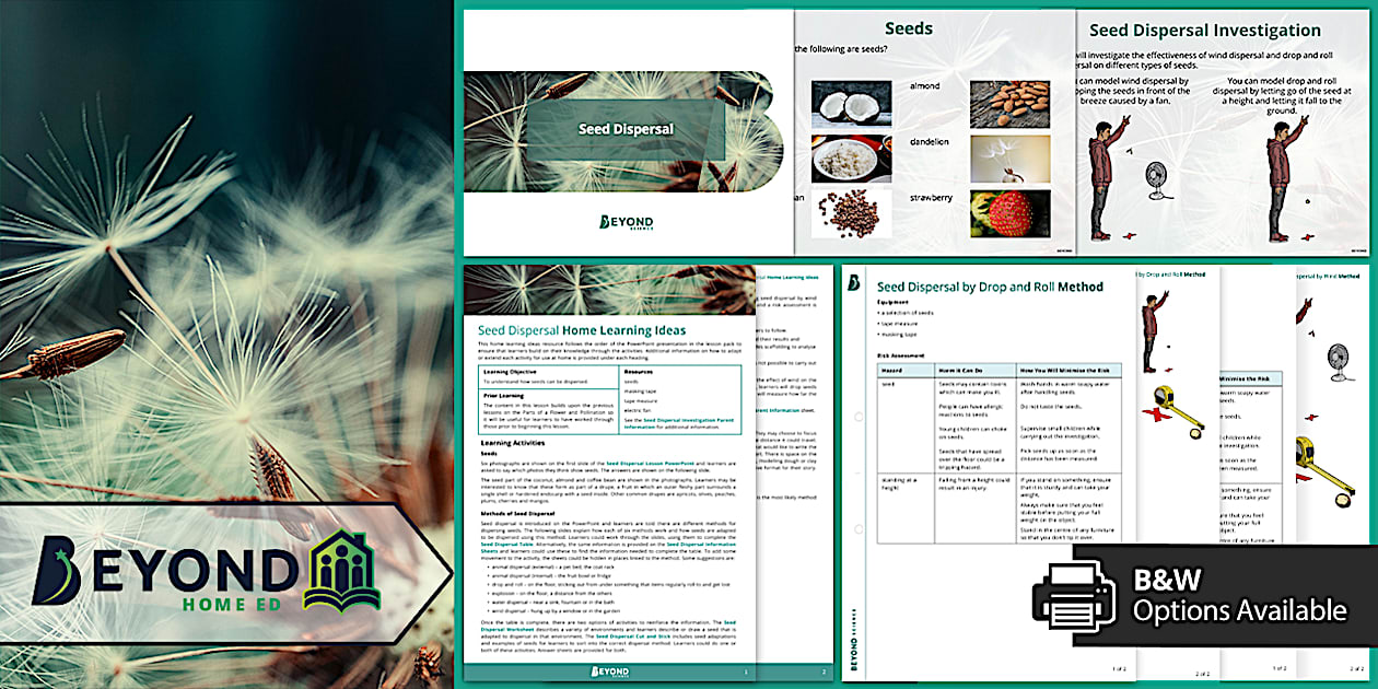 Seed Dispersal Lesson Pack | Science Home Education | Beyond