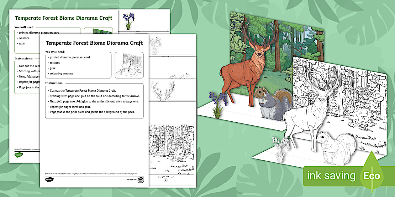 Temperate Forest Biome Diorama Craft