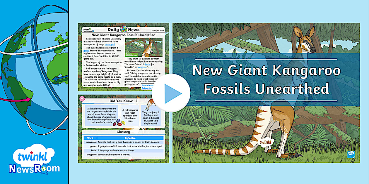 New Giant Kangaroo Fossils Unearthed | Twinkl Resources