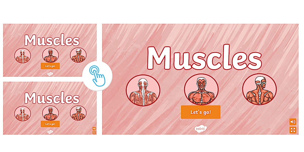 Muscles Interactive Word Search (teacher made) - Twinkl