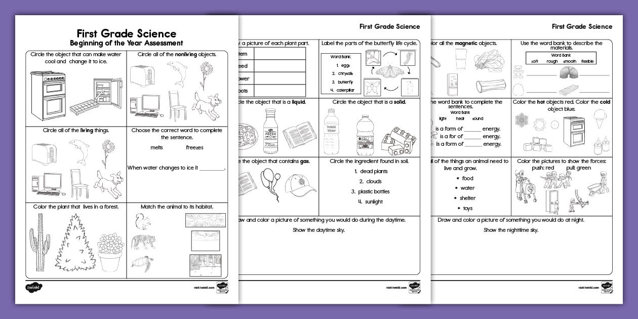 First Grade Beginning of the Year Science Assessment