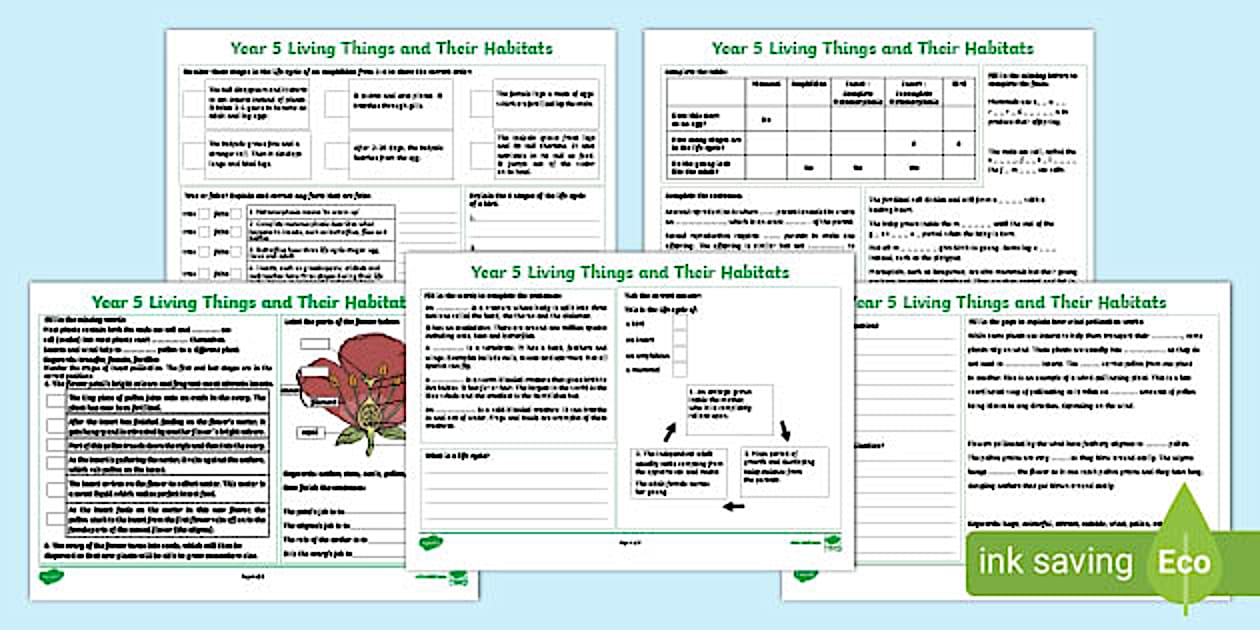 KS2 Year 5 Living Things and Their Habitats Revision Activity Mat