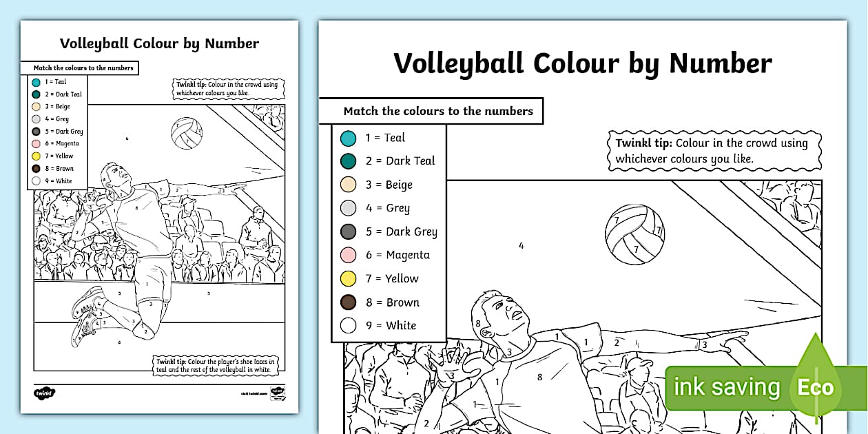 Volleyball Colour by Number Worksheet| Twinkl Numbers
