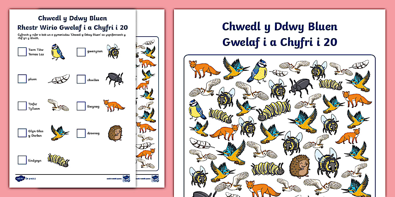 Chwedl y Ddwy Bluen: Gwelaf i a Chyfri i 20 - Twinkl