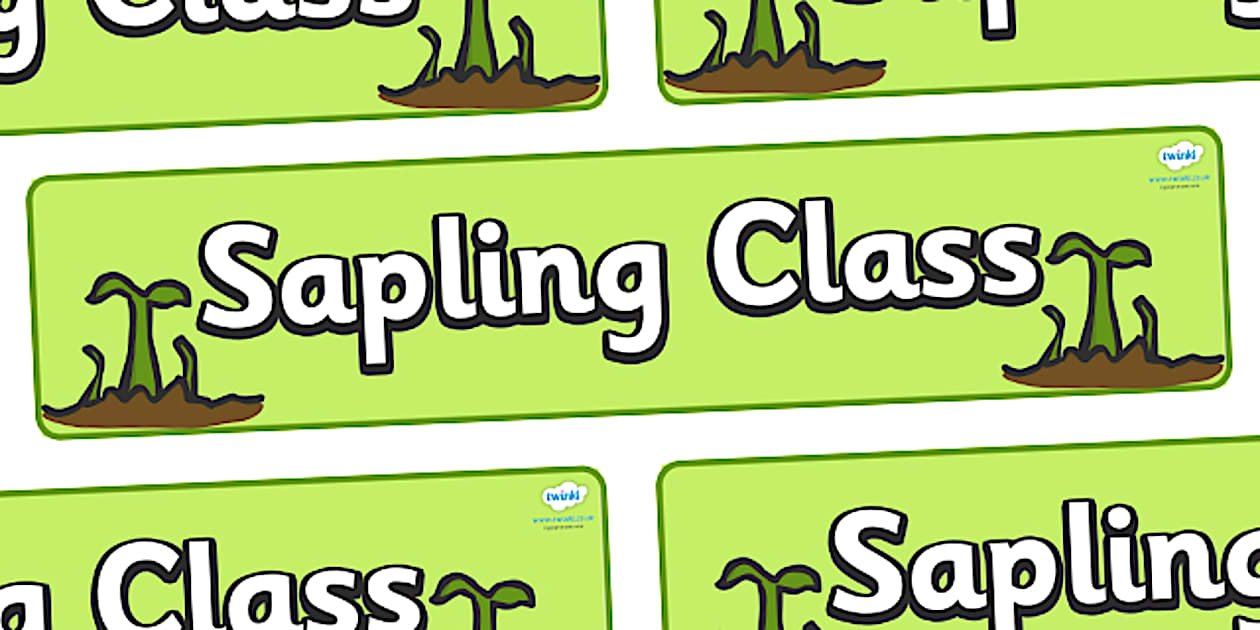 👉 Sapling Class Display Banner (Teacher-Made) - Twinkl