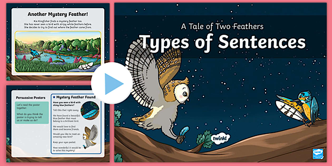 A Tale of Two Feathers: Types of Sentence English Lesson PowerPoint Year 2