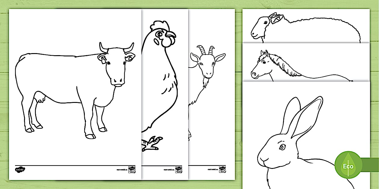 Blessing of the Animals Colouring Pages
