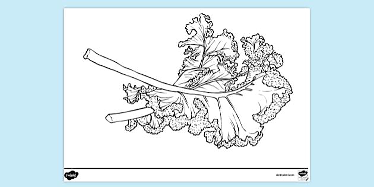Kale Colouring Page (teacher made) - Twinkl