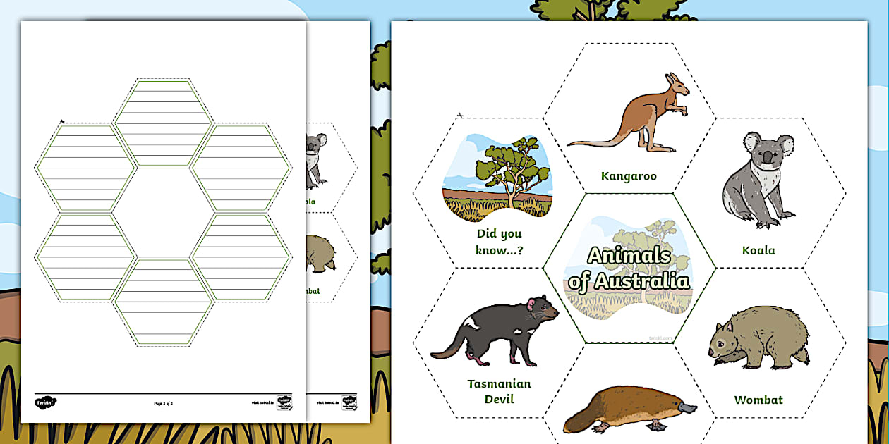 Animals of Australia Hexagon Writing Template (teacher made)