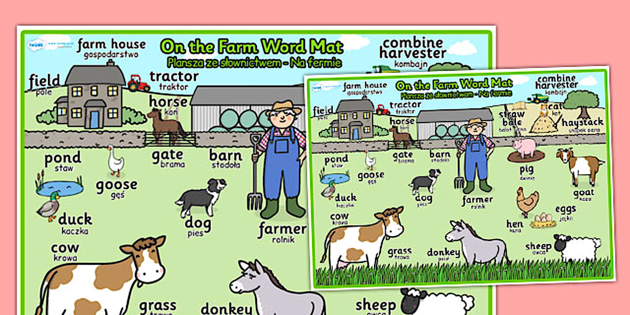 On the Farm Scene Word Mat Polish Translation (Teacher-Made)