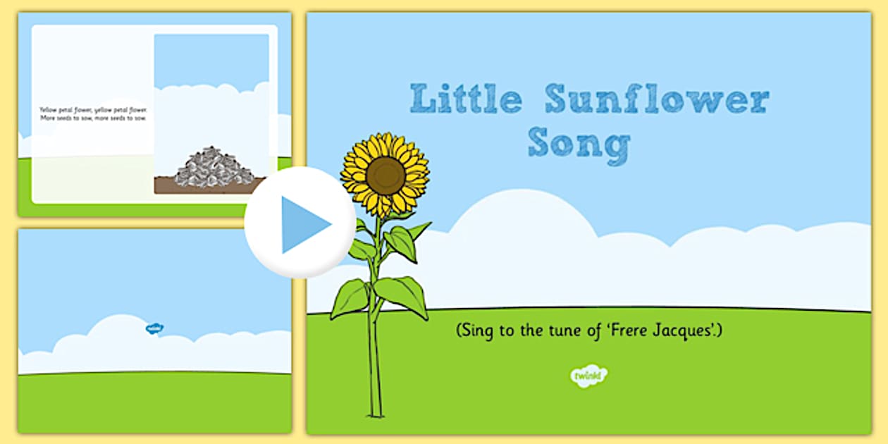 Little Sunflower Song PowerPoint (Teacher-Made) - Twinkl