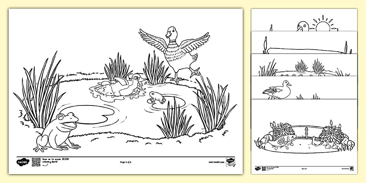 5 Little Ducks Colouring Pages - Printable Pack - Twinkl