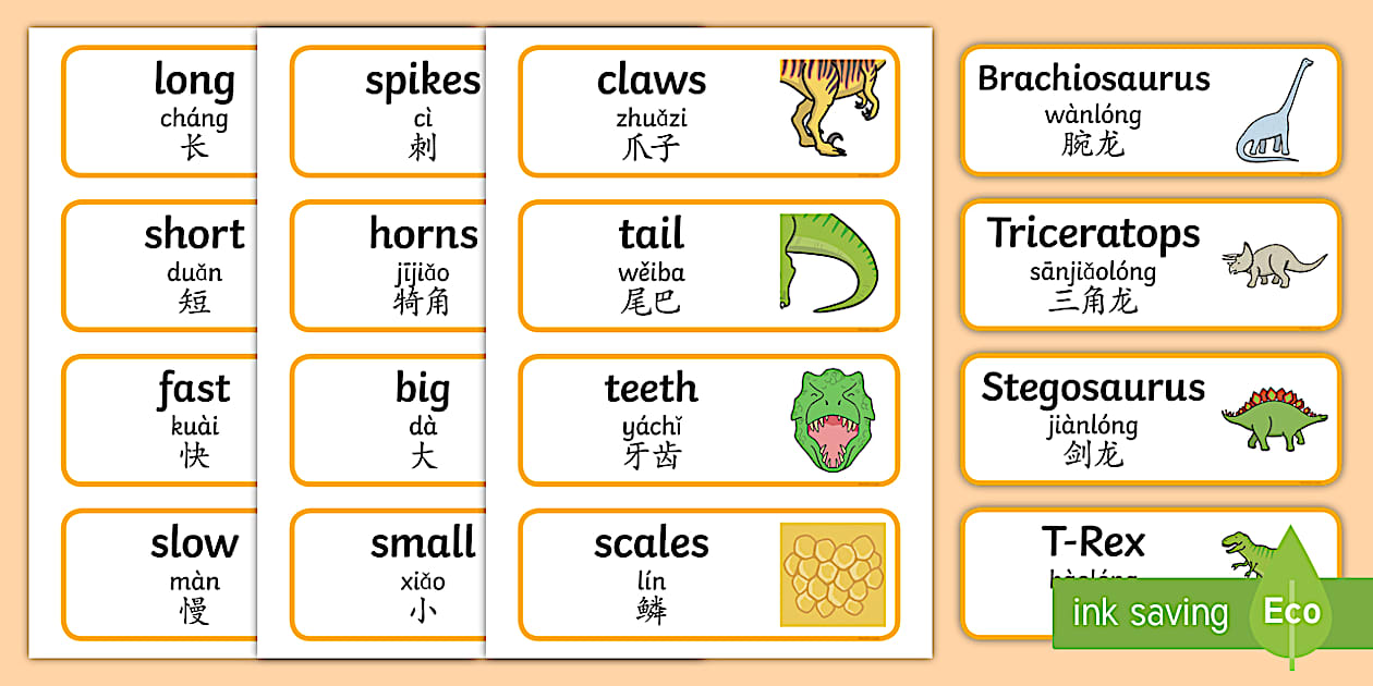 Dinosaur Themed Word Cards English/Mandarin Chinese/Pinyin - Dinosaur Words