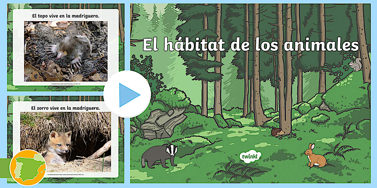 Presentación: El hábitat de los animales - Twinkl