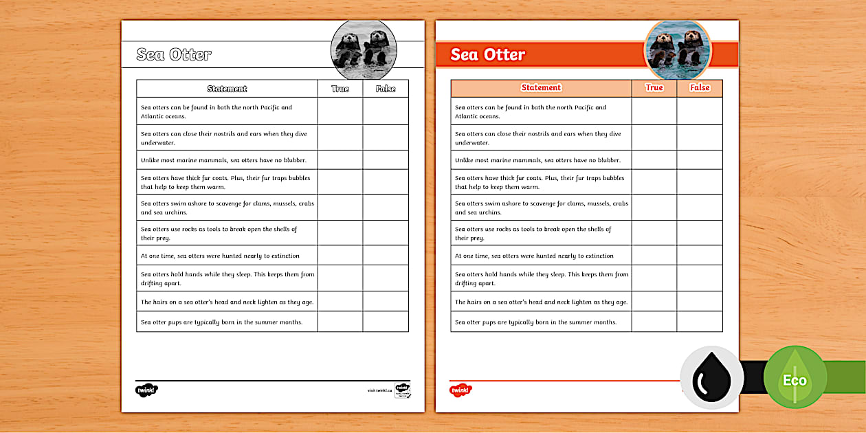 Sea Otter True or False Activity (Teacher-Made) - Twinkl