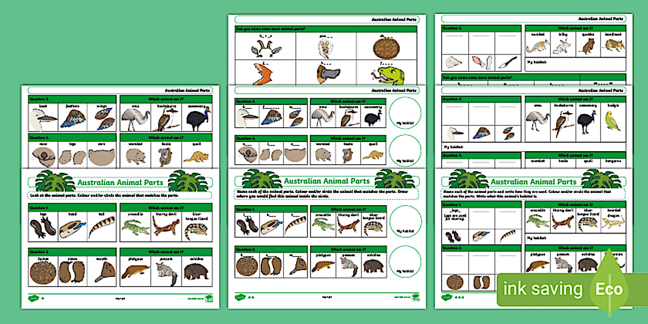 Australian Animal Features Worksheets